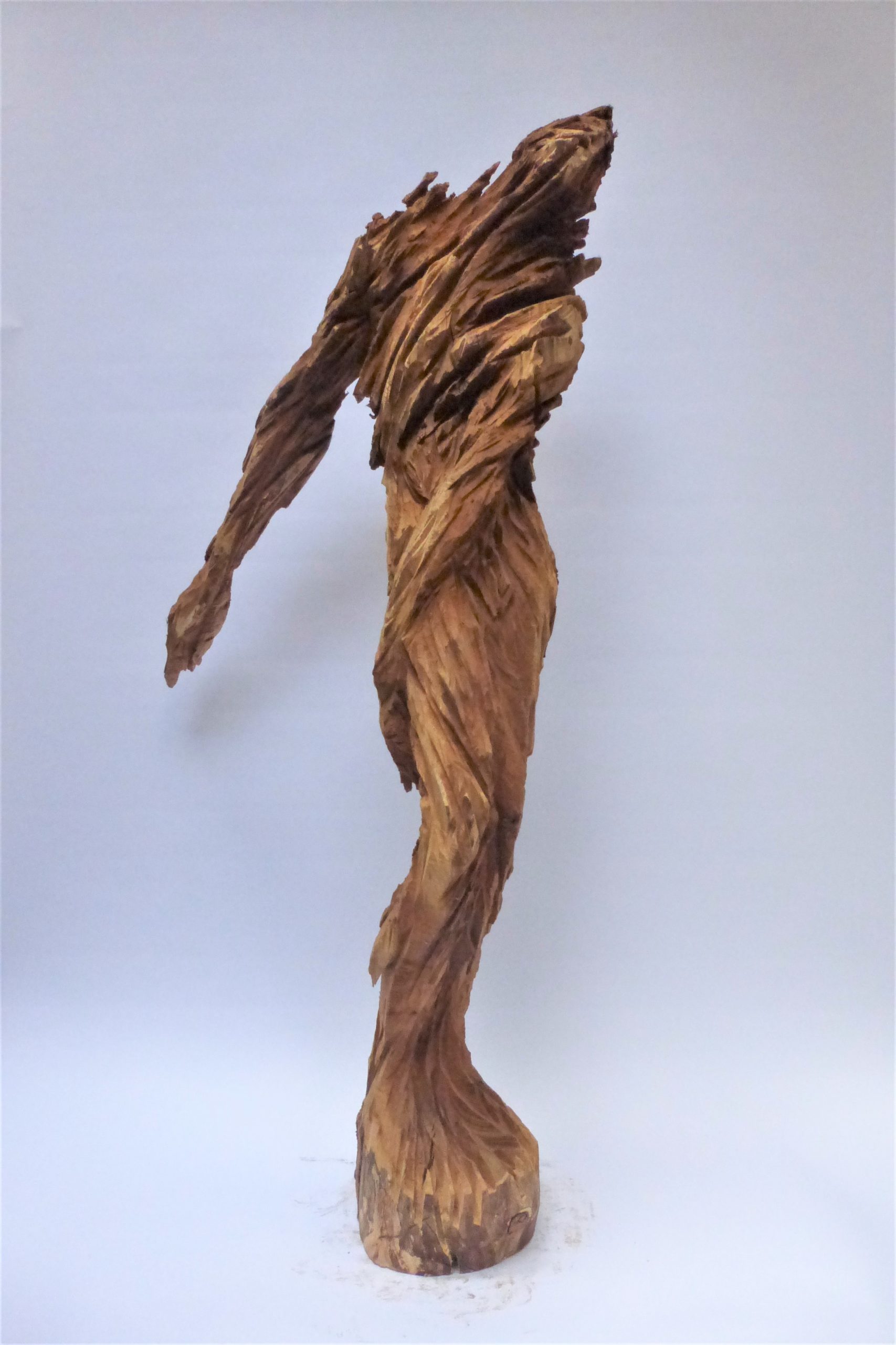 Wood - Xavier Dambrine